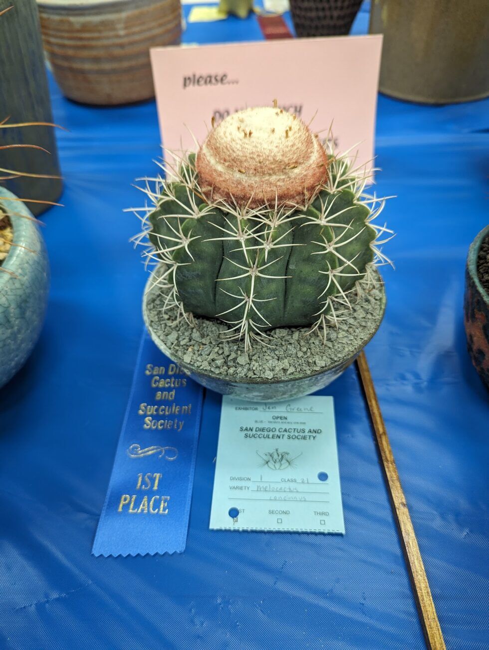 San Diego Cactus and Succulent Society Show Highlights, Part 3 - Trex ...