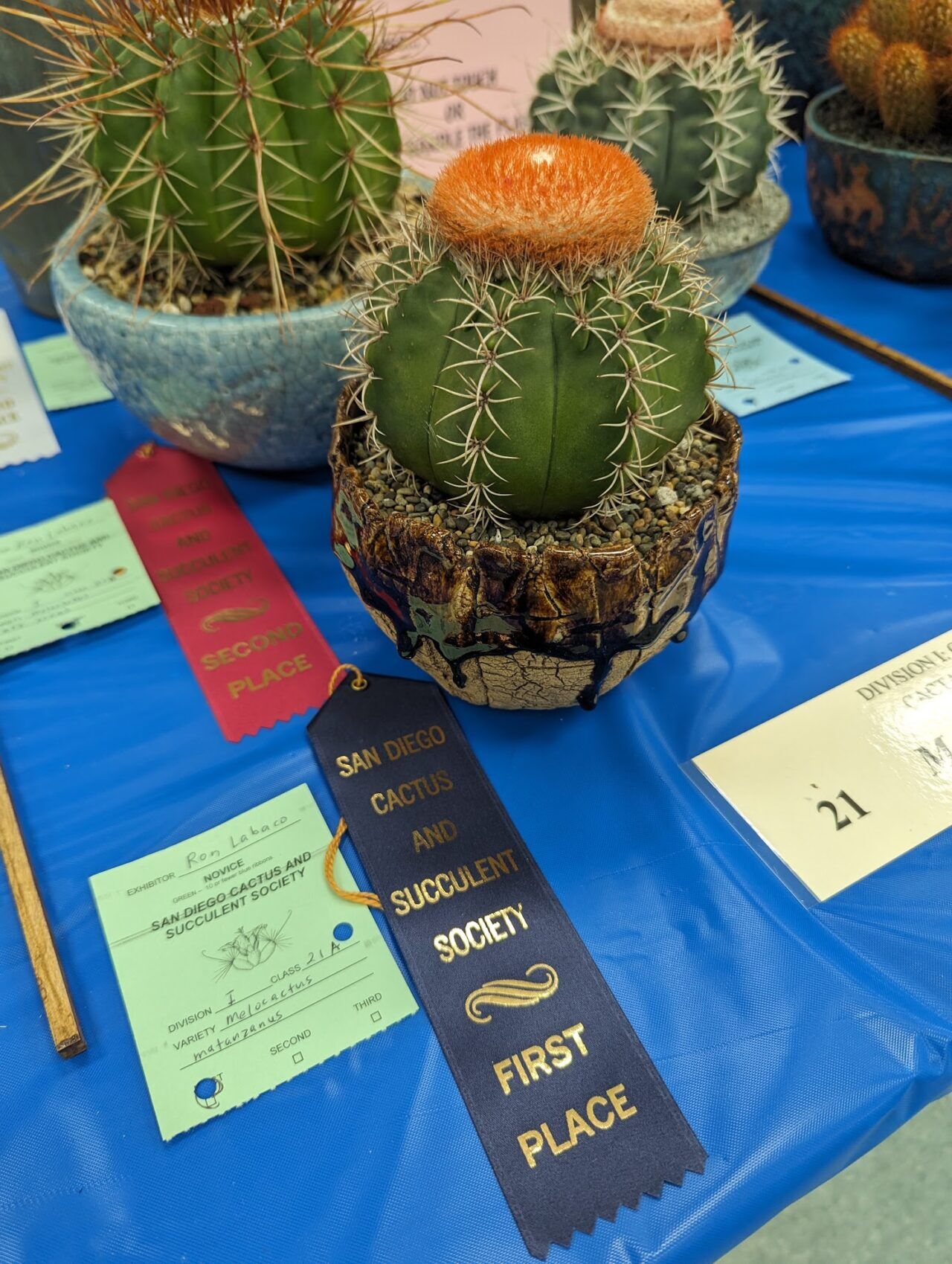 San Diego Cactus and Succulent Society Show Highlights, Part 3 - Trex ...